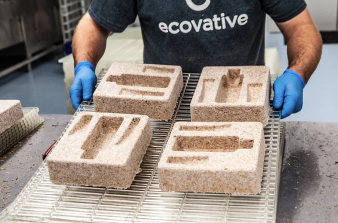 Top Four Styrofoam (EPS) Alternatives | Packaging School