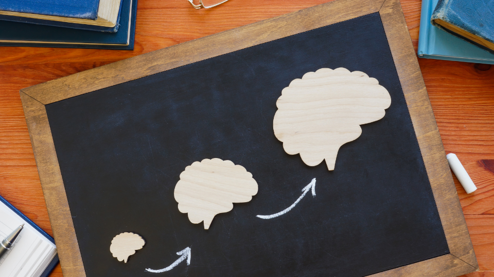 Lifelong Learning Lasts a Lifetime